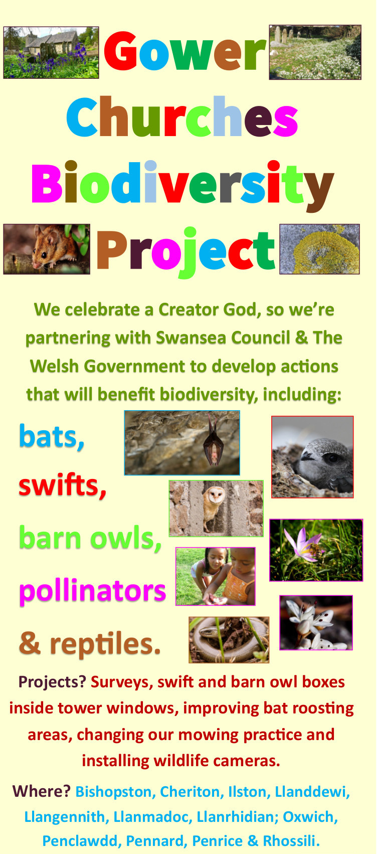 Gower Churches Biodiversity Project – Gower Ministry Area